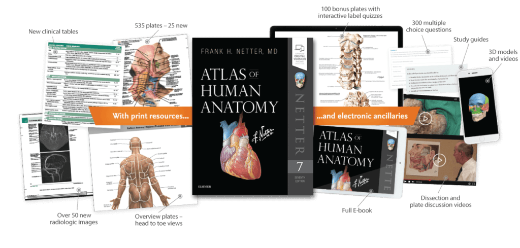 Book Atlas of Human Anatomy by Netter PDF - Livres|Books