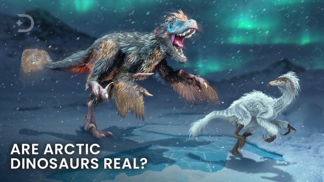 What Was the Earth Like When Dinosaurs Were Around-Magic of Science