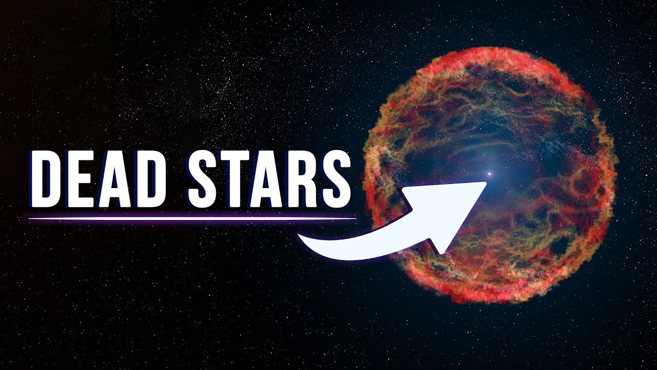 Introduction to Genetic Algorithms By Sivanandam & Deepa Book PDF