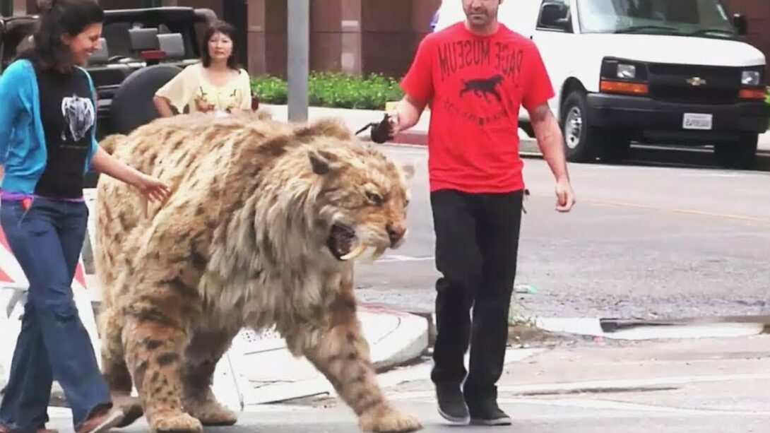 Extinct Animals Finally Brought Back to Life! - Magic of Science