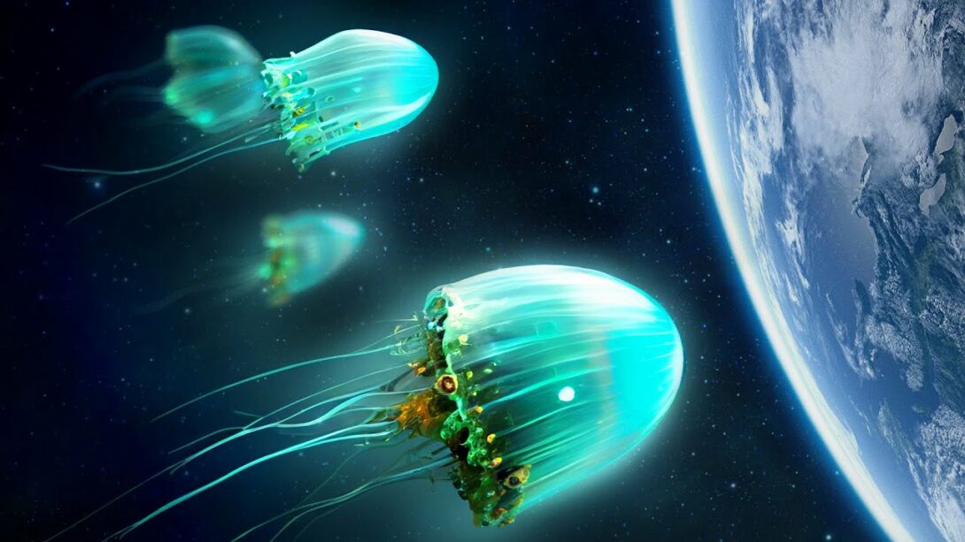 Astronauts Detected Unidentified Objects Near Earth - Magic of Science