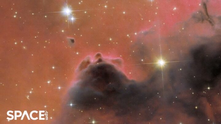 Hubble snaps a nebula's free-floating Evaporating Gaseous Globule ...