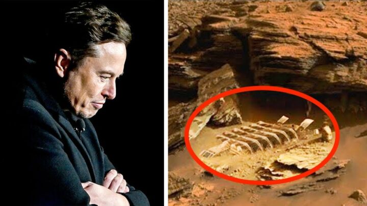 Elon Musk Just Announced Nasa’s Terrifying Discovery on Mars! - Magic ...