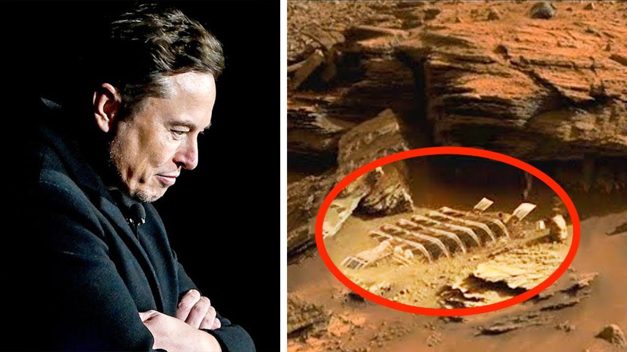 Elon Musk Just Announced Nasa’s Terrifying Discovery on Mars! - Magic ...